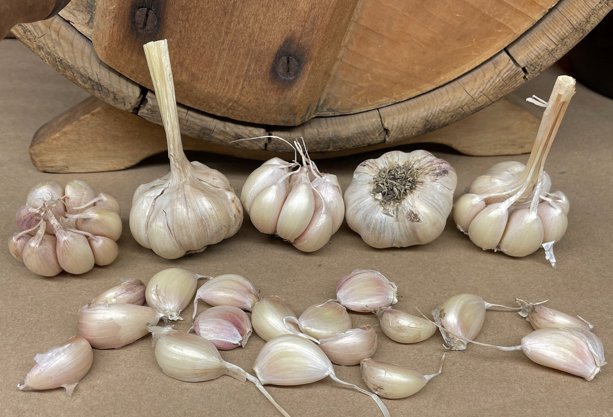 Tzan – Covered Bridge Garlic Company